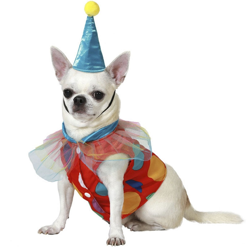 Disfraz original de Payaso para perros |【Compra online】
